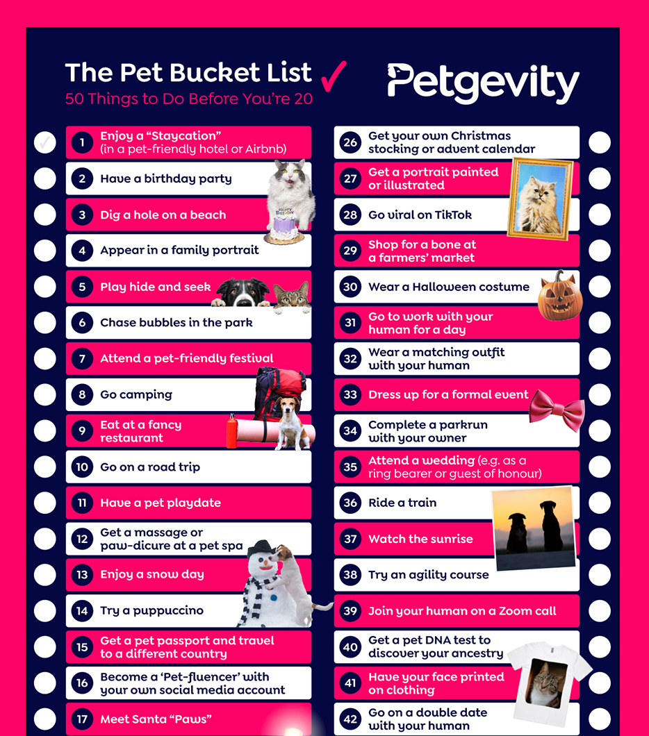 The Pet Bucket List: 50 Things To Do Before You're Twenty - petgevity.co.uk